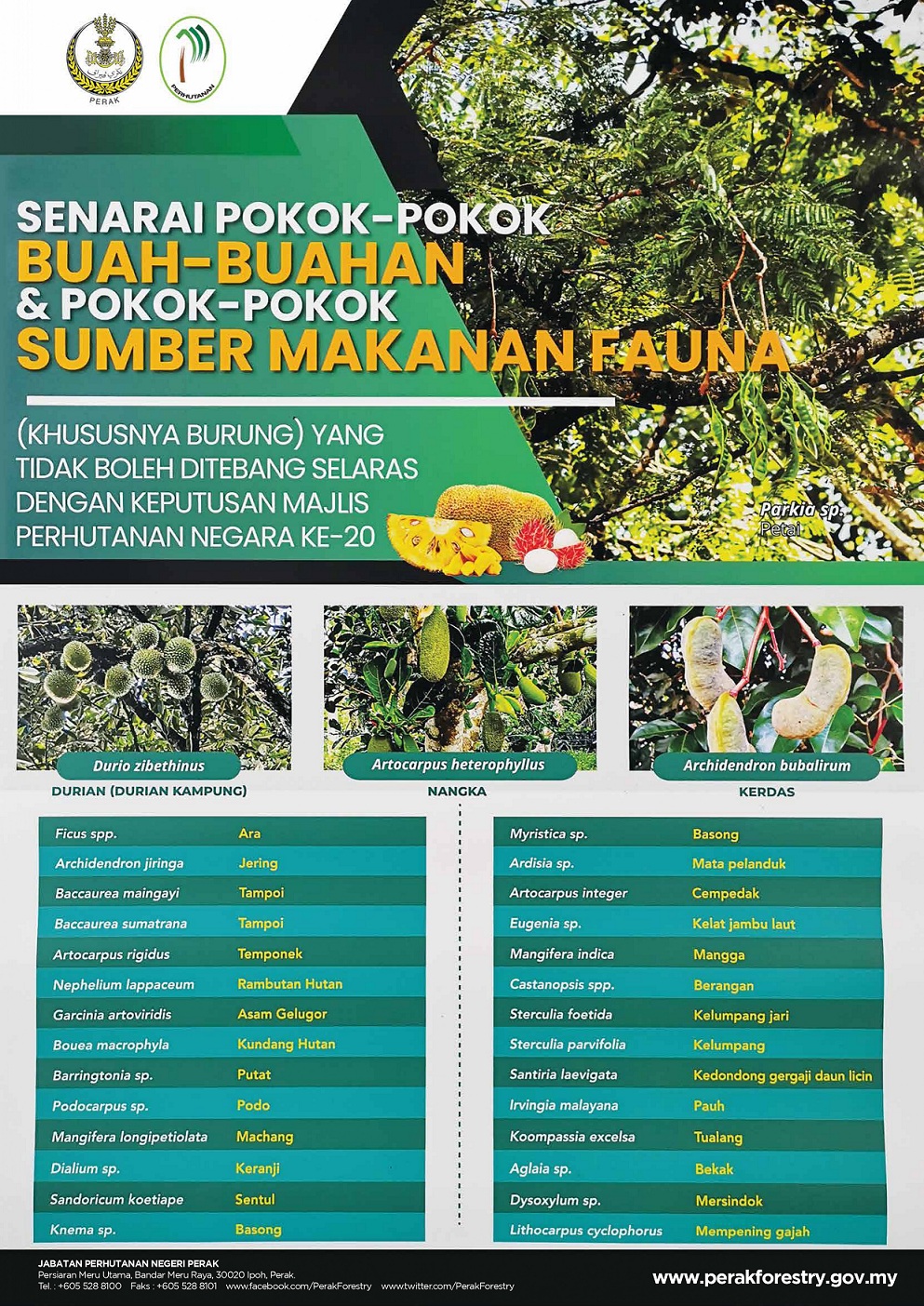 Jabatan Perhutanan Negeri Perak - Poster MC&I SFM